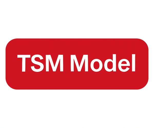 TSM Model Diecast Cars | 1:18 Scale Premium Collector Models – Model ...